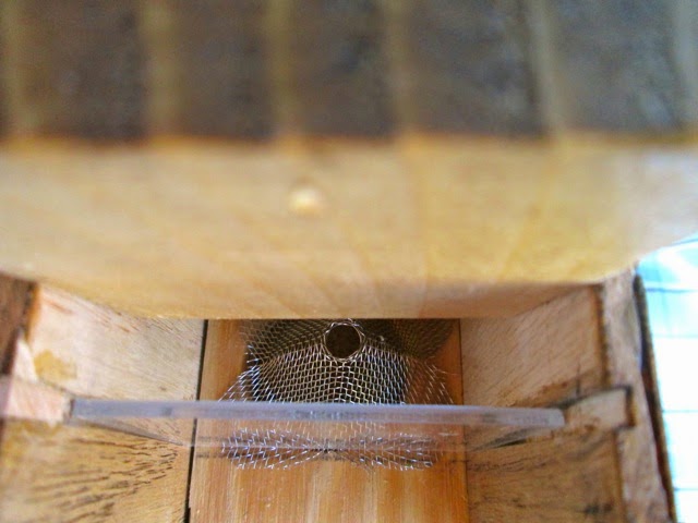 Beelining – The Honey Company