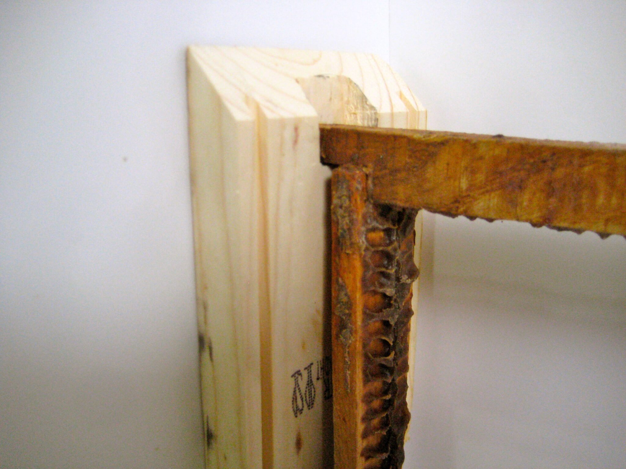 Observation Hive / Display Case With Glass – The Honey Company