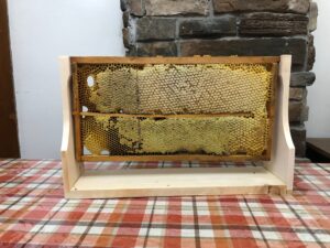 Restaurant Honeycomb Display Stand – The Honey Company
