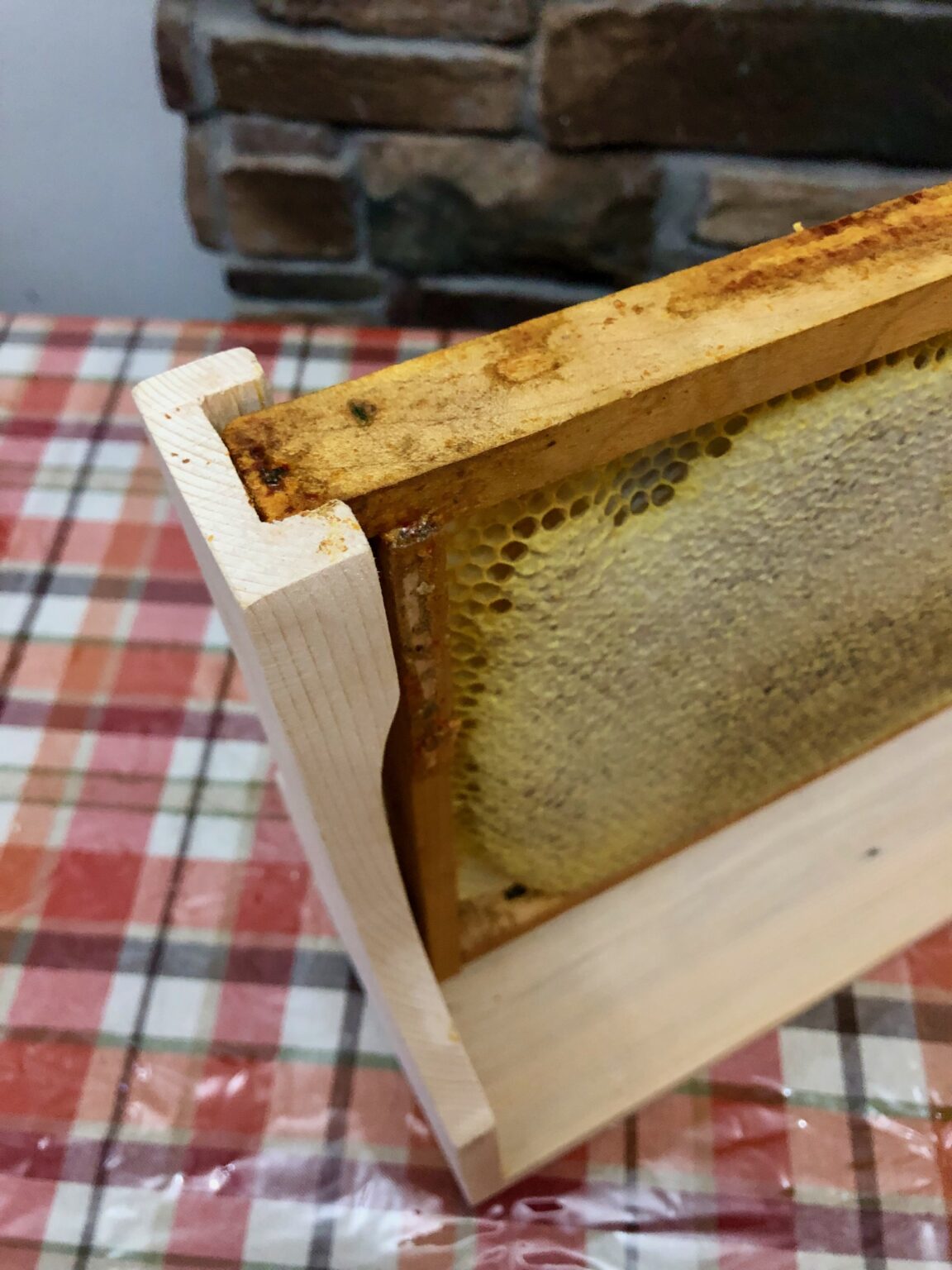 Restaurant Honeycomb Display Stand – The Honey Company