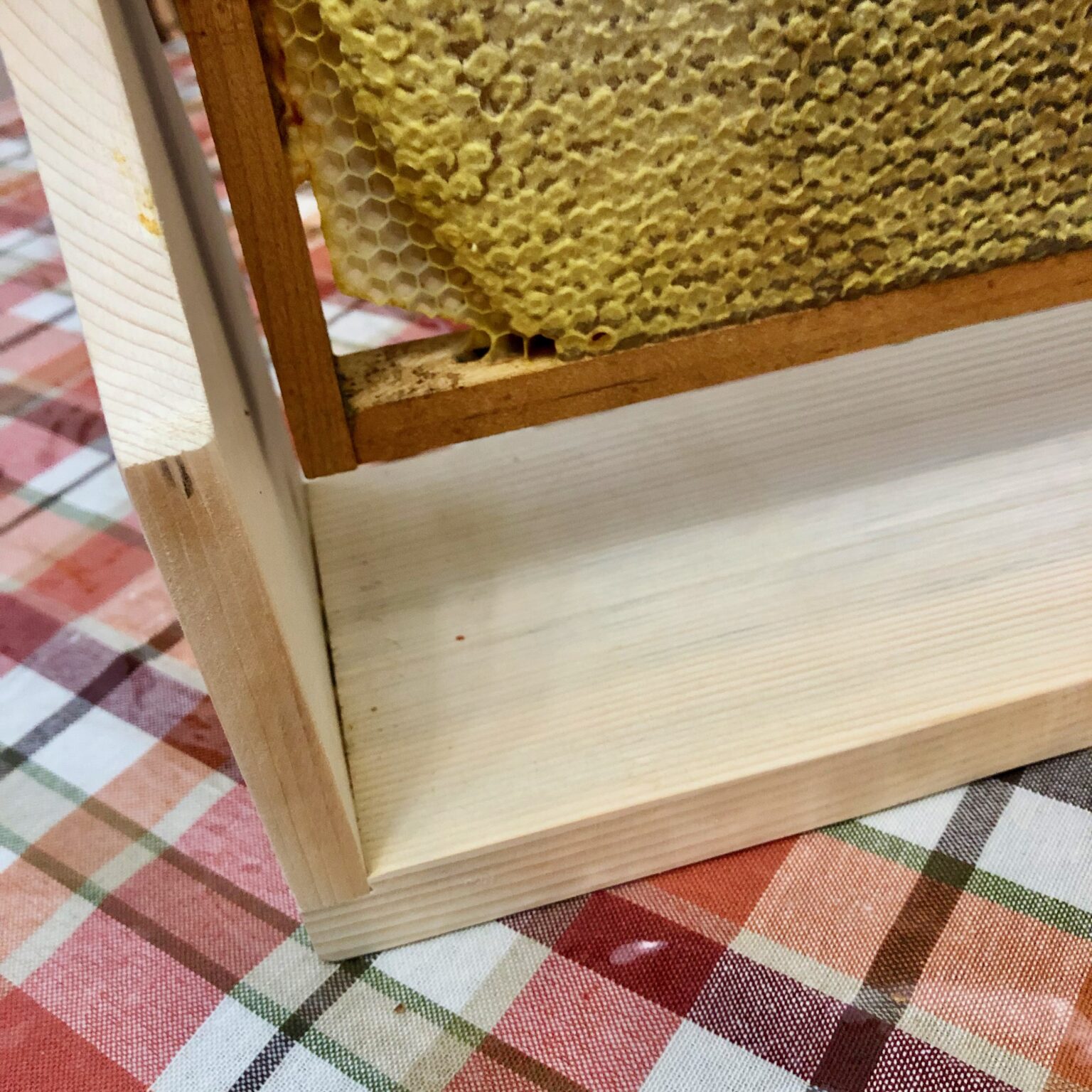 Restaurant Honeycomb Display Stand – The Honey Company