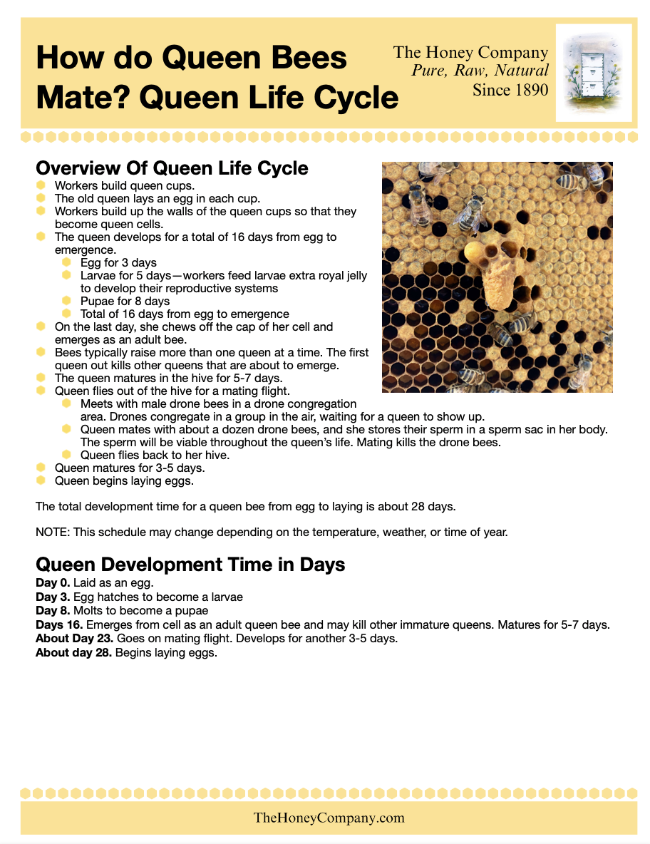 Printable Downloads – The Honey Company