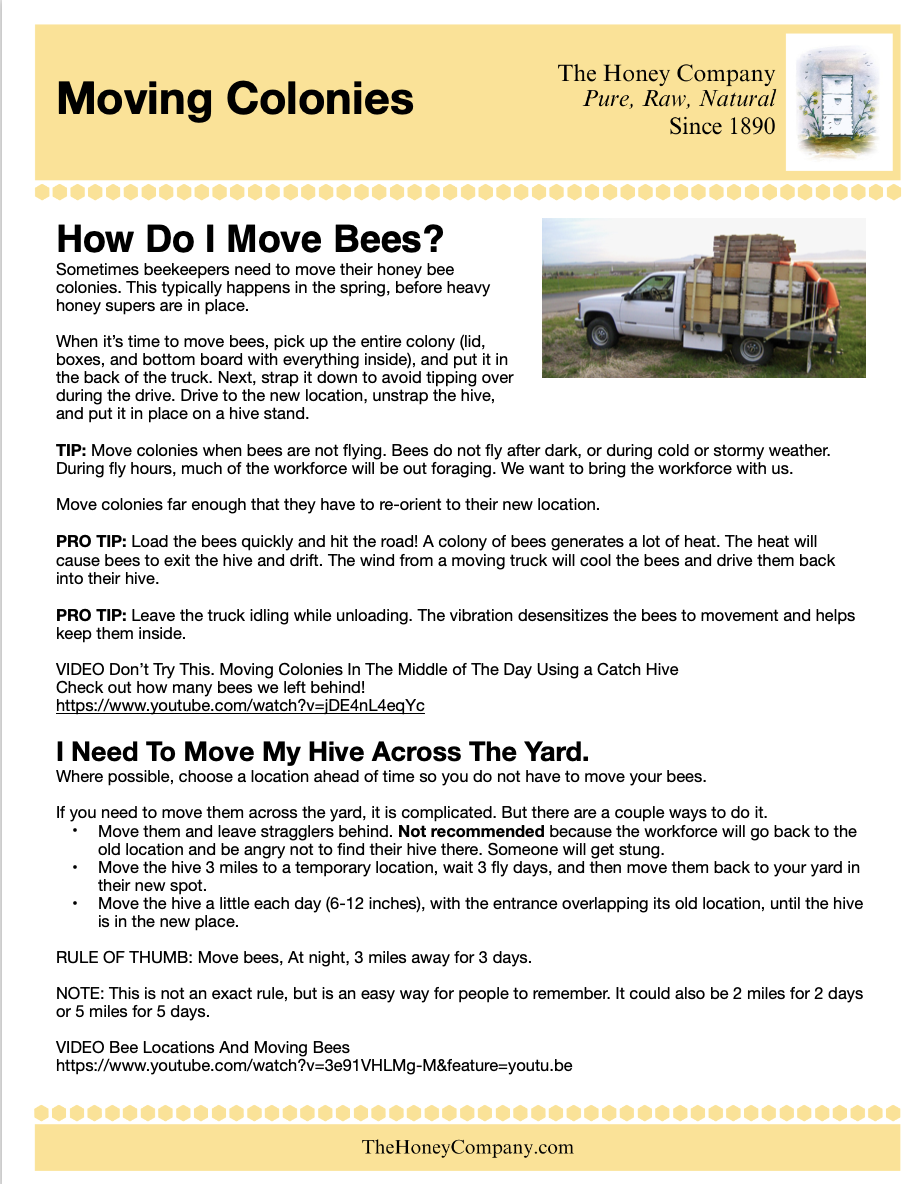 Printable Downloads – The Honey Company