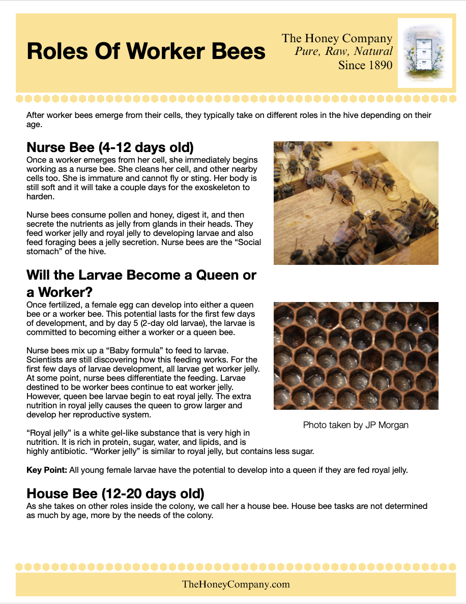 Printable Downloads – The Honey Company